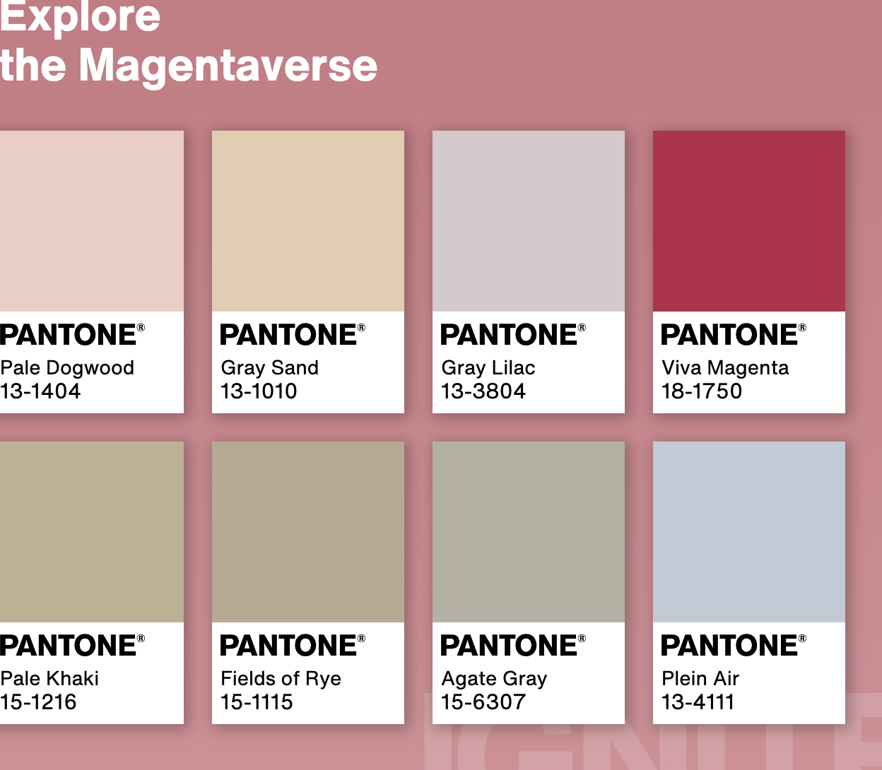 PANTONE ประกาศสีใหม่ 'Viva Magenta' ปี 2023 สีที่เปี่ยมด้วยพลัง และการ ...