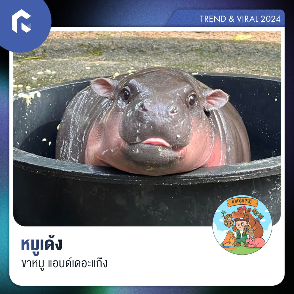 รวมสุดยอด Trend & Viral ที่สุดแห่งปี 2024 | RAiNMaker's Content of the Year 2024